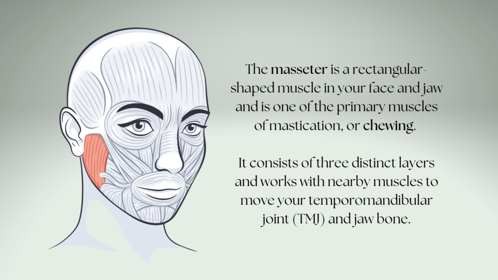Masseter Botox® How Botox® Injections Can Help Reduce Teeth Grinding And Contour Your Jawline