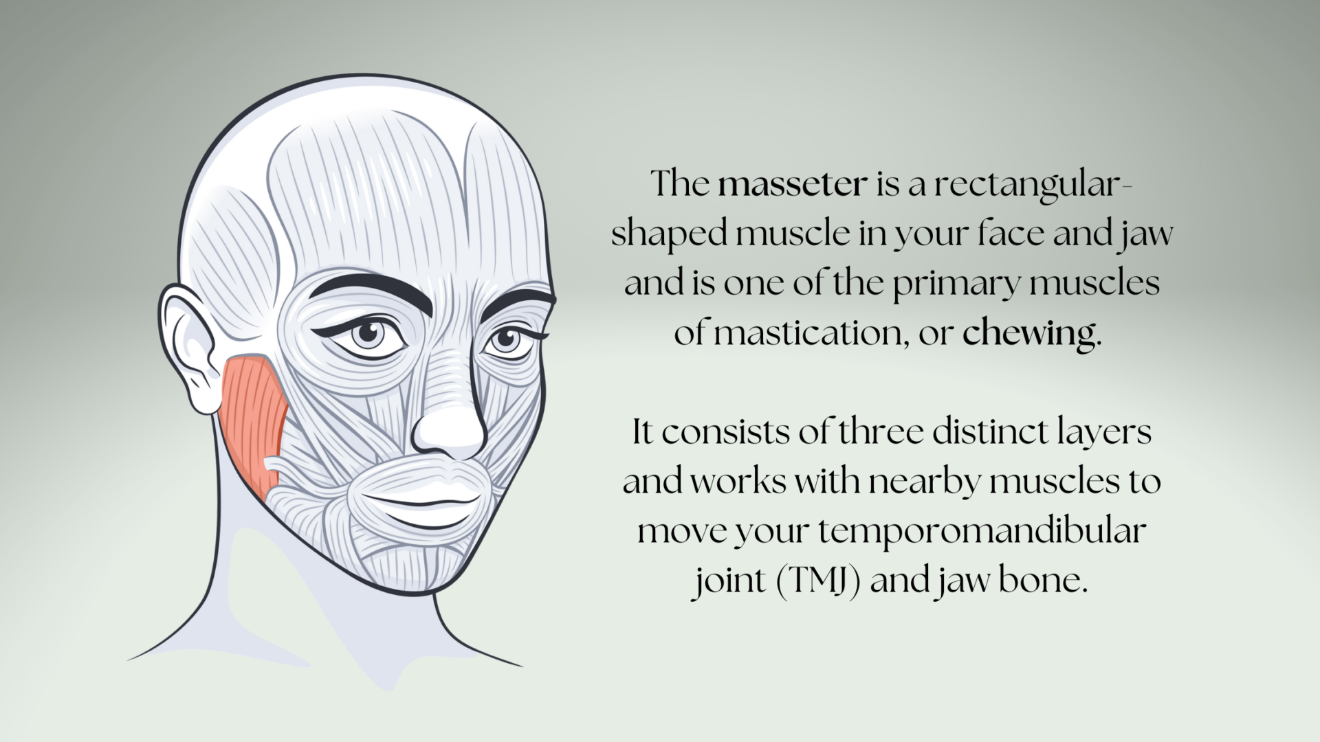 Masseter Botox® – How Botox® Injections Can Help Reduce Teeth Grinding ...